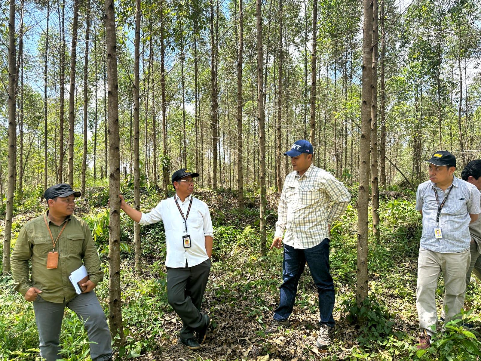Wujudkan Konsep Forest City di IKN, KSP: Pemerintah Rehabilitasi Hutan ...